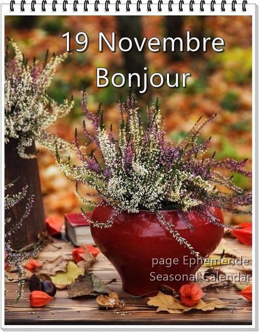 bonjour tout le monde