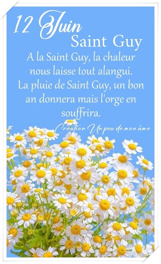 bonjour tout le monde