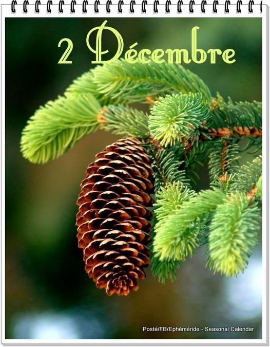 bonjour tout le monde