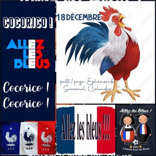 ALLEZ LES BLEUS ALLEZ LES BLEUS