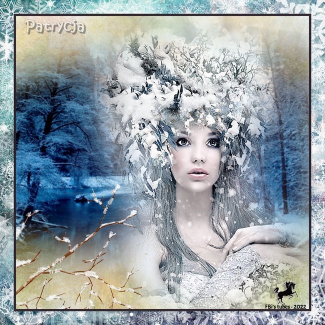 bonjour tout le monde